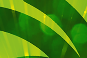 Lihocin® | Farming and Crop Protection
